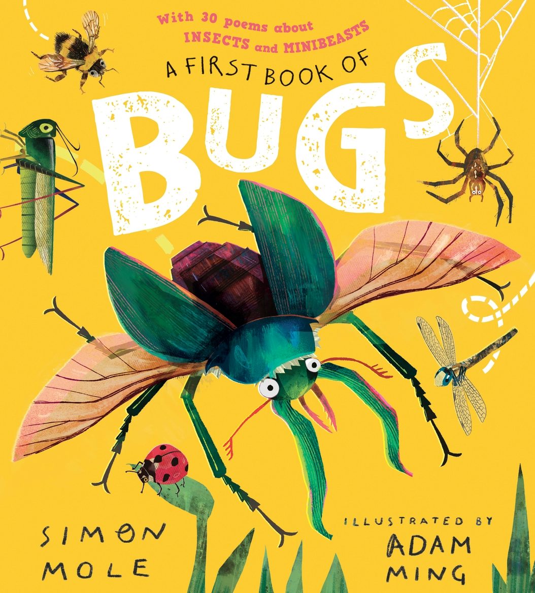 A First Book of Bugs: with 30 poems about insects and minibeasts ...