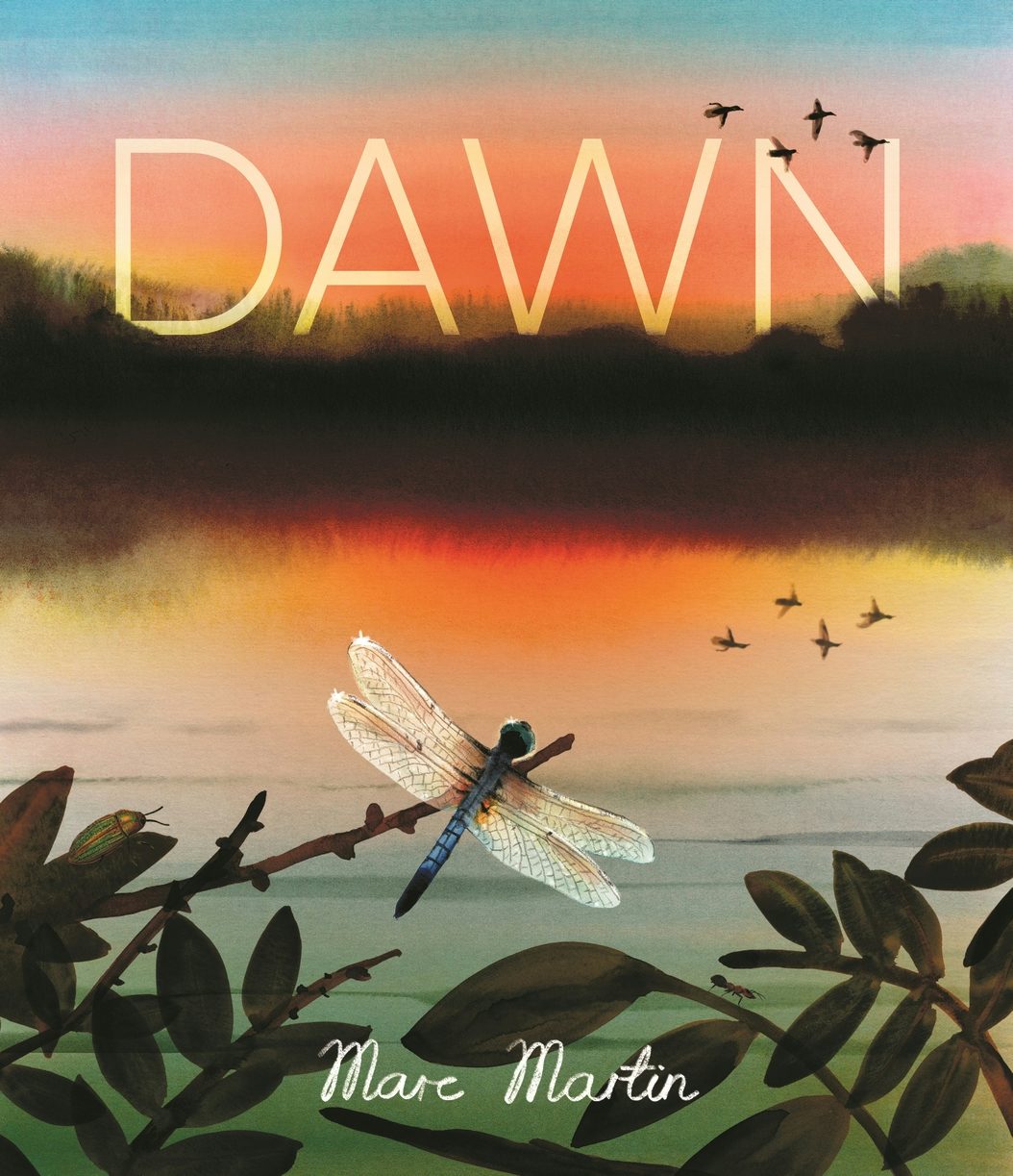 Dawn – Walker Books UK