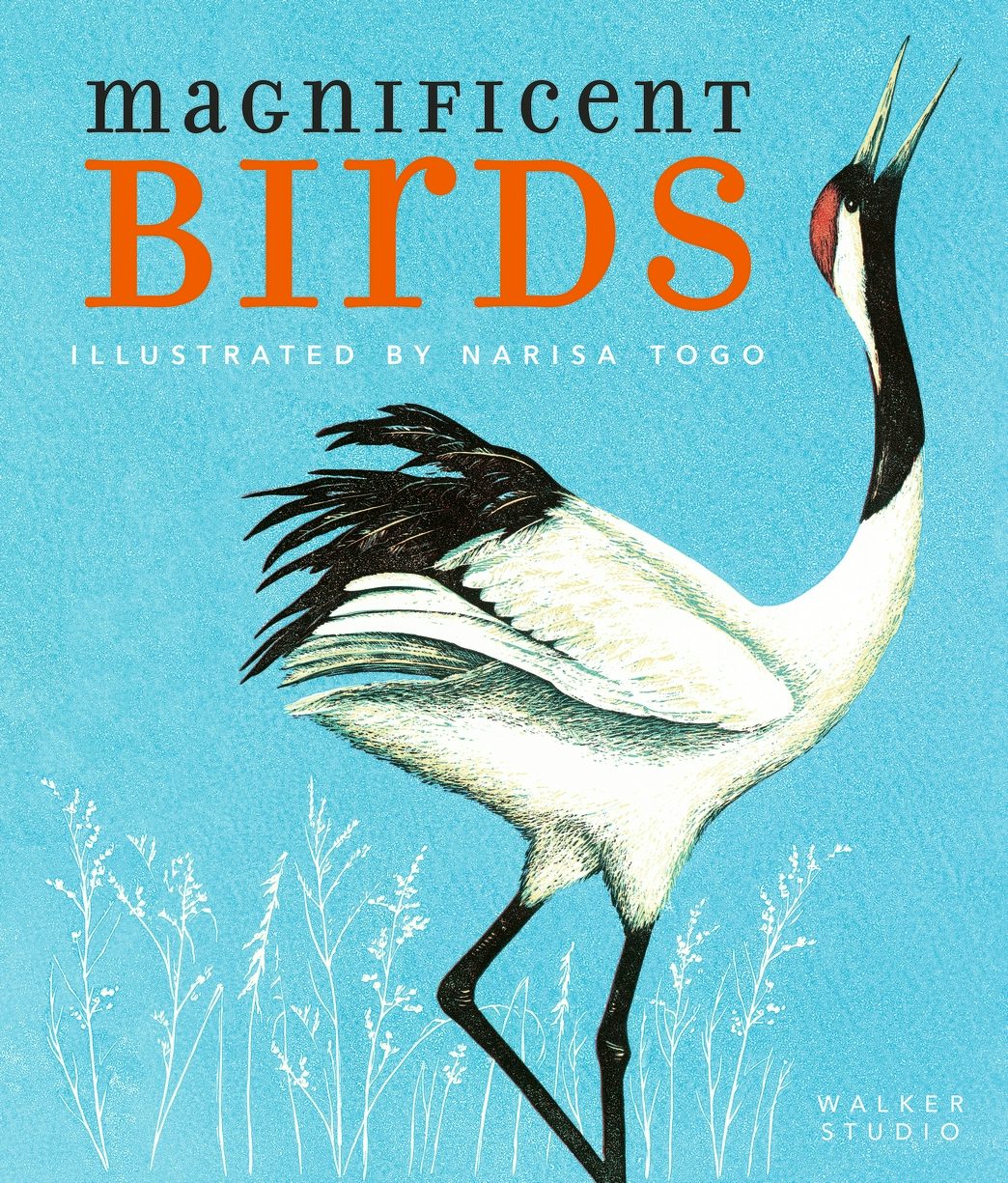 Magnificent Birds – Walker Books UK