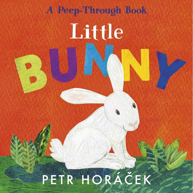 Little Bunny – Walker Books UK